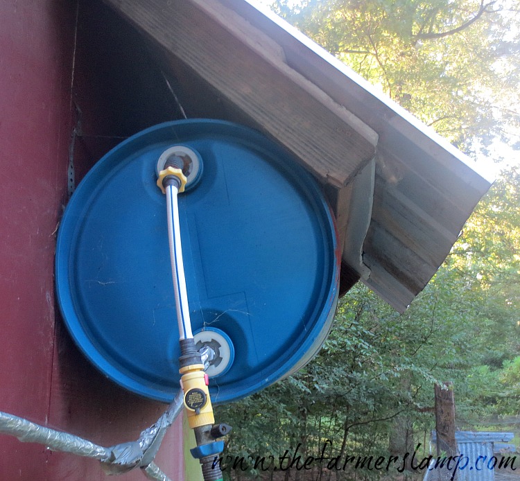 How to Build an Automatic Chicken Waterer System for Less Than $150 ...
